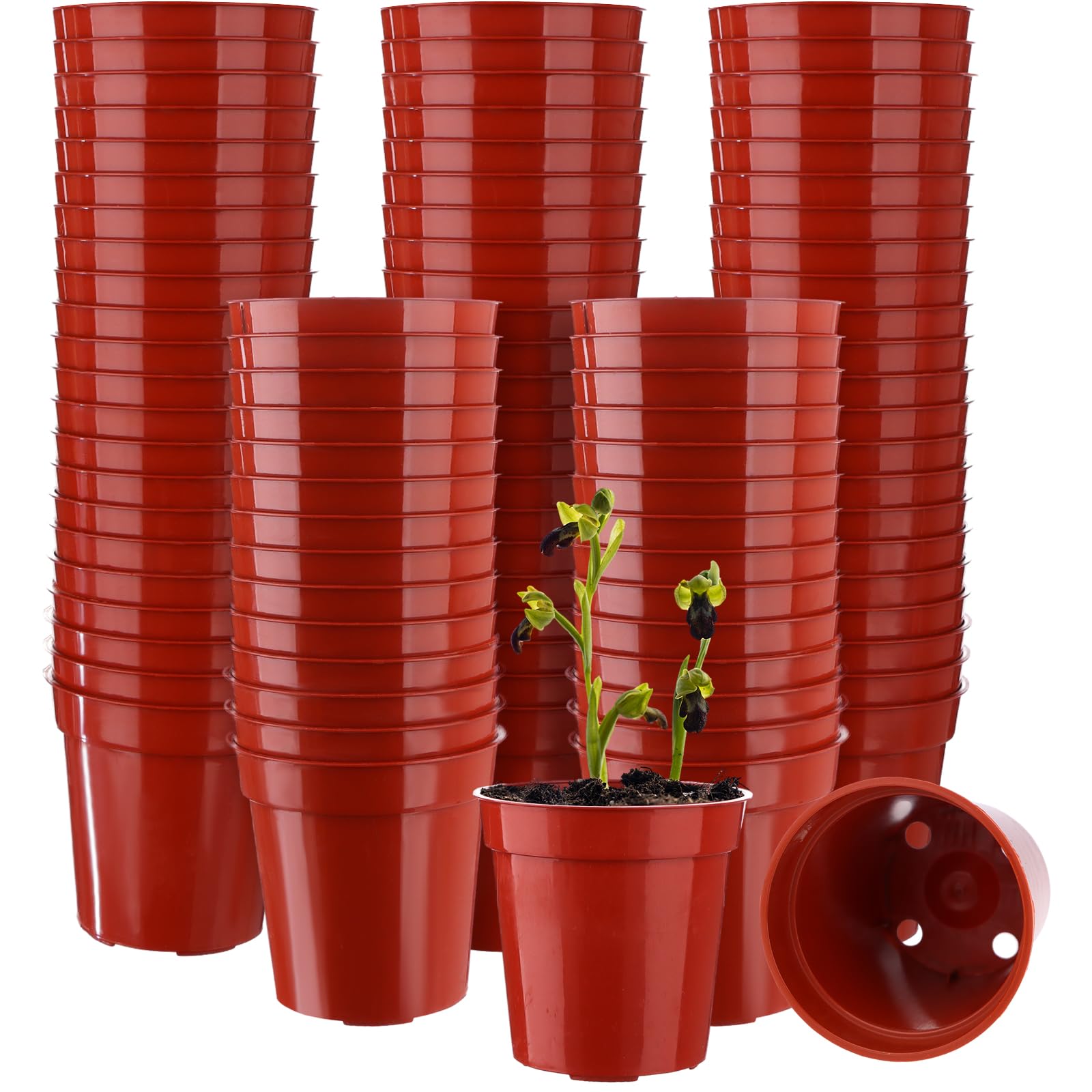 Beautywen 100 Pack Mini Plastic Flower Pots 5.4cm,Small Flower Pots ...
