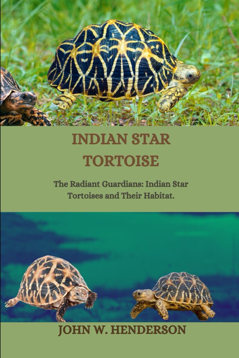 Buy INDIAN STAR TORTOISE: The Radiant Guardians: Indian Star Tortoises ...