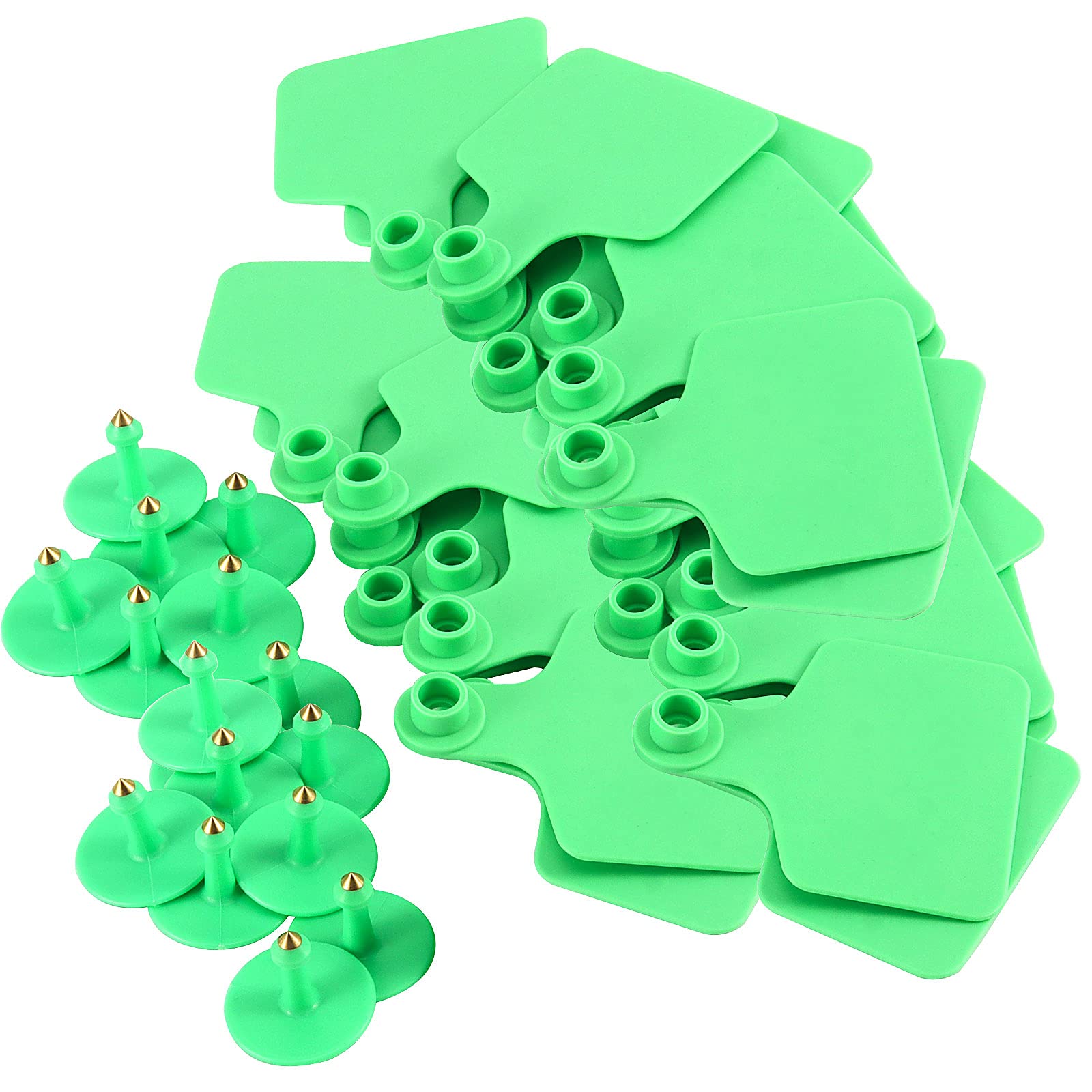 Sehoi 200 Pack Blank Cattle Ear Tags Blank Ear Tags | Desertcart INDIA