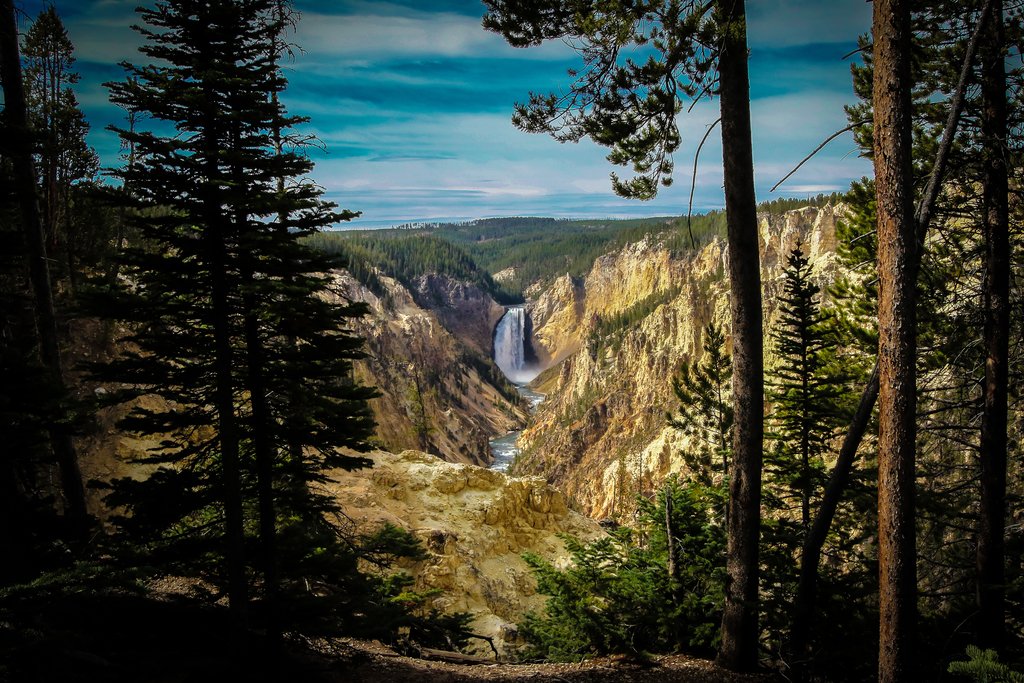 Wallpaper Yellowstone River Trees Back On The Yellowstone River! I'll