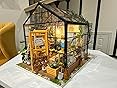 Rowood DIY Miniature House Kit,Mini Dollhouse Craft Kits for Kids ...