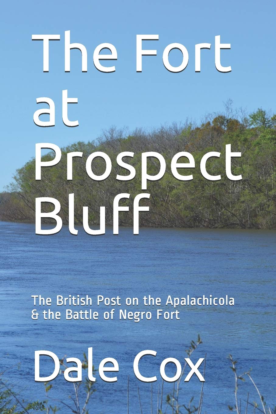 Buy The Fort at Prospect Bluff: The British Post on the Apalachicola ...