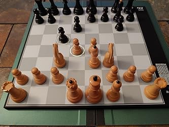 Amazon.com: DGT Centaur Chess Computer : Toys & Games