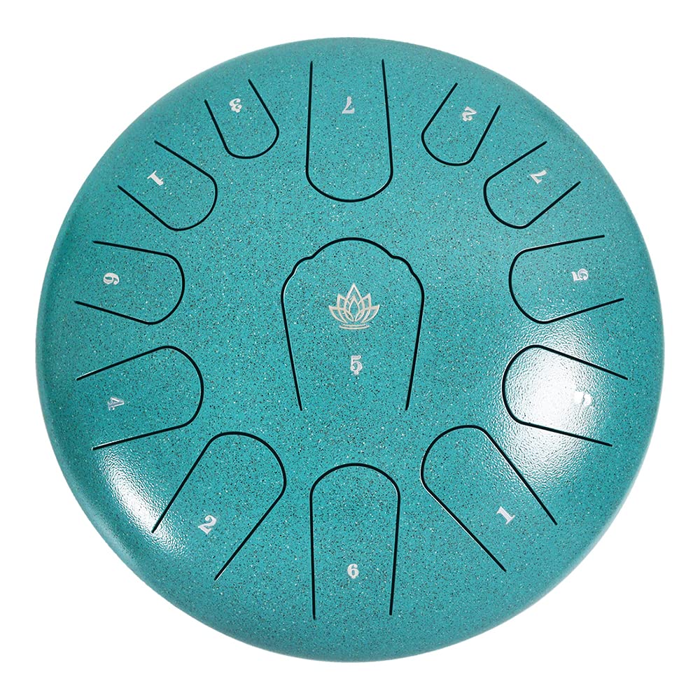 Steel Tongue Drum Steelasophical Steel Band - Steel Hand Pan