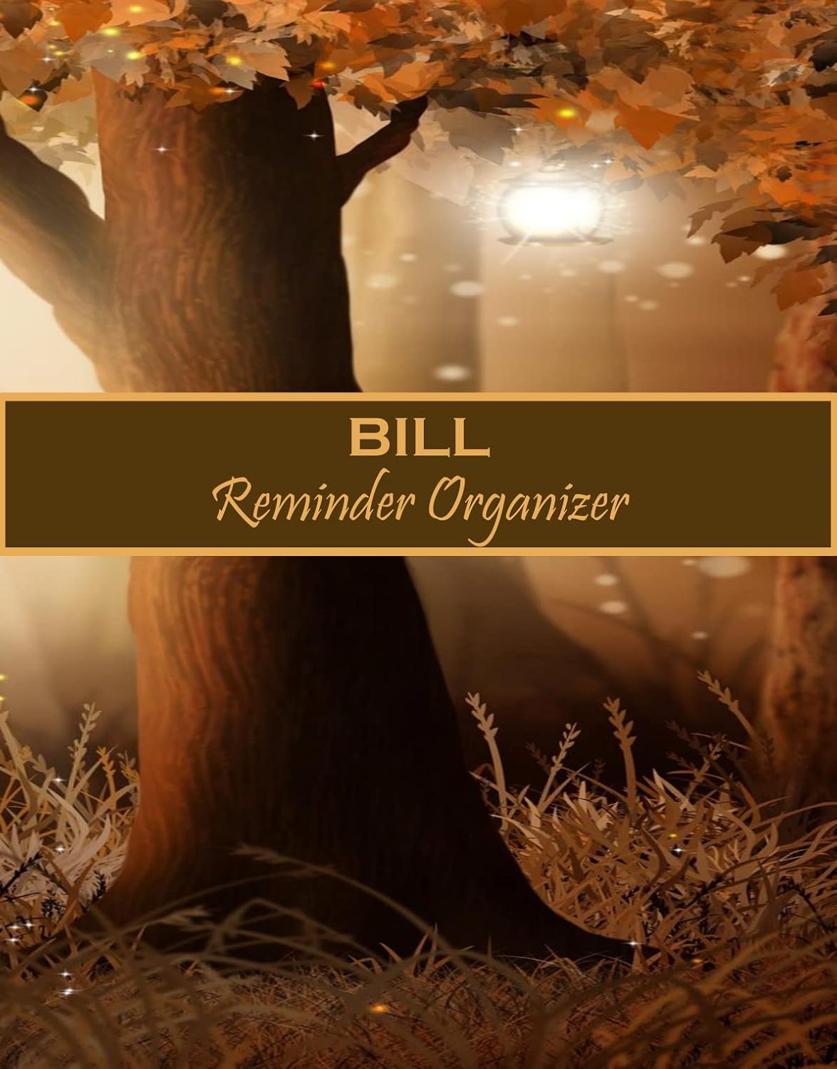 Amazon.com: BILL REMINDER ORGANIZER: Bill Planner, Organizer and Log ...