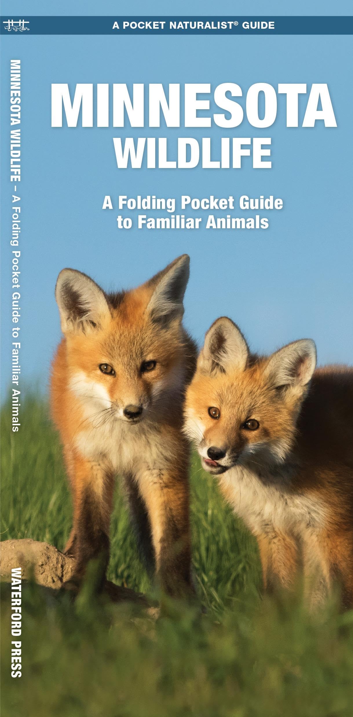 Minnesota Wildlife: A Folding Pocket Guide to Familiar Animals ...