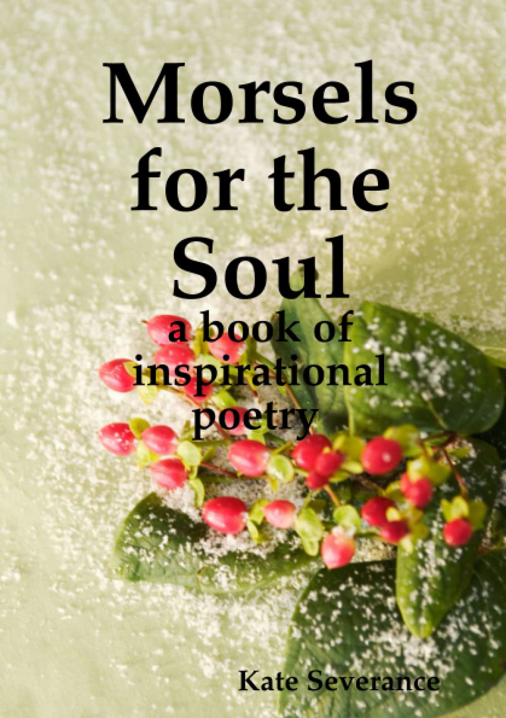 Morsels for the Soul: Severance, Kate: 9780557014620: Amazon.com: Books