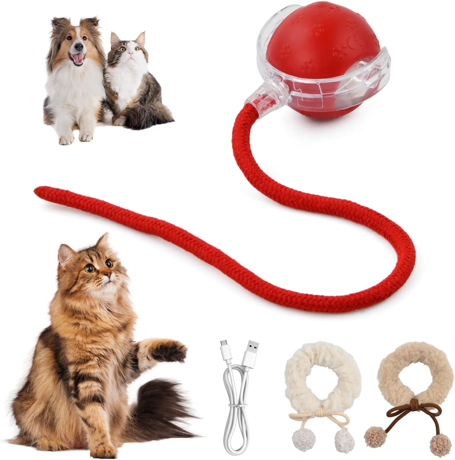 Joyan Interactive Cat Toy Ball with Bird Sounds and 2 Stretchy Plush ...