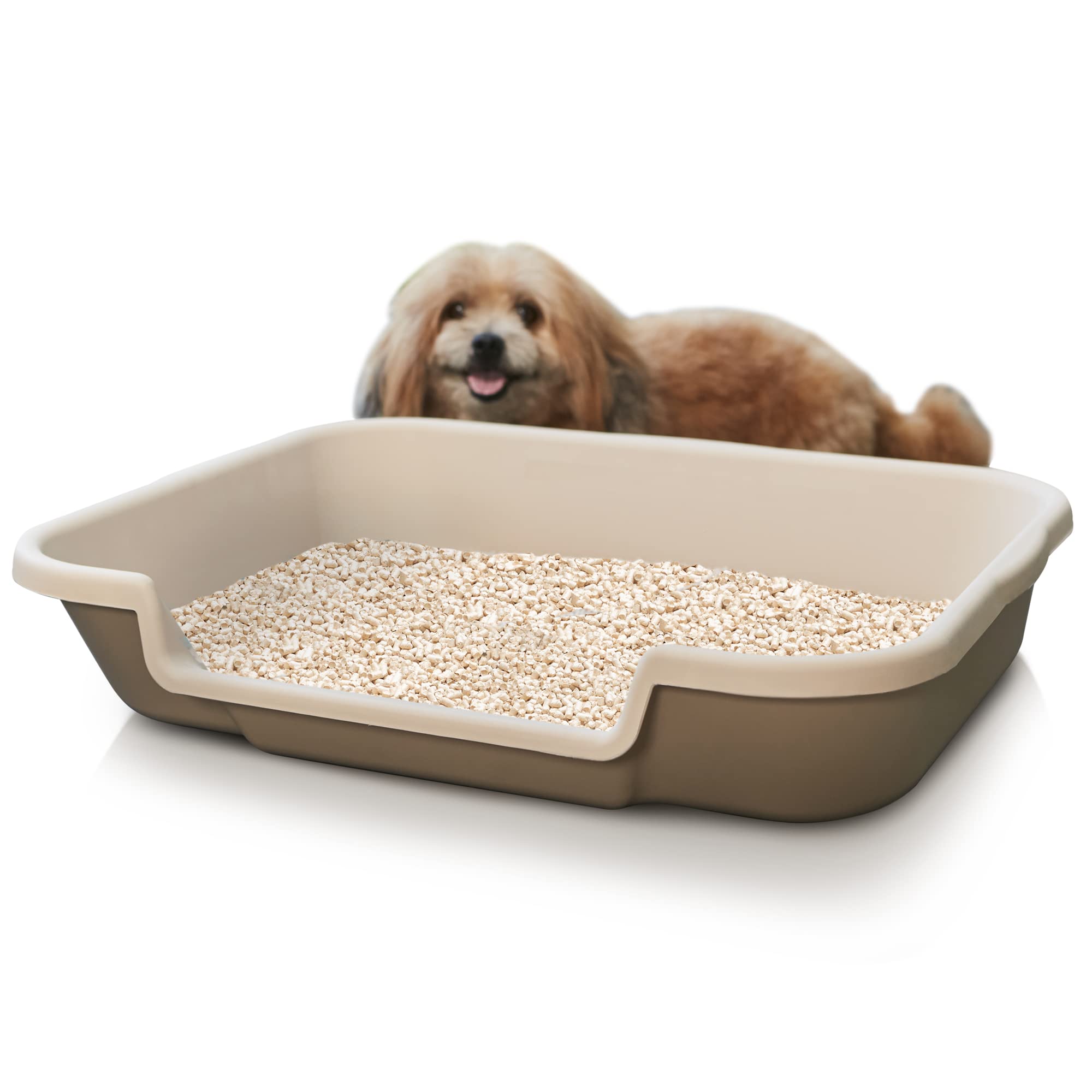 PuppyGoHere Dog Litter Box, Large Size, Misty Gray, Durable & Pet Safe ...