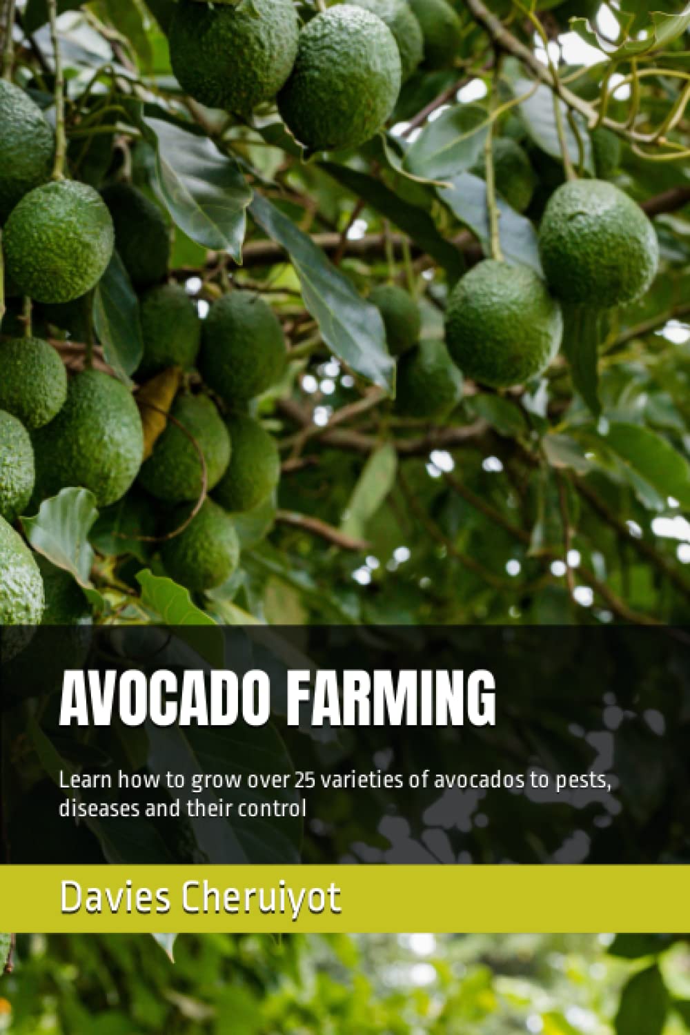 AVOCADO FARMING: Learn how to grow over 25 varieties of avocados to ...