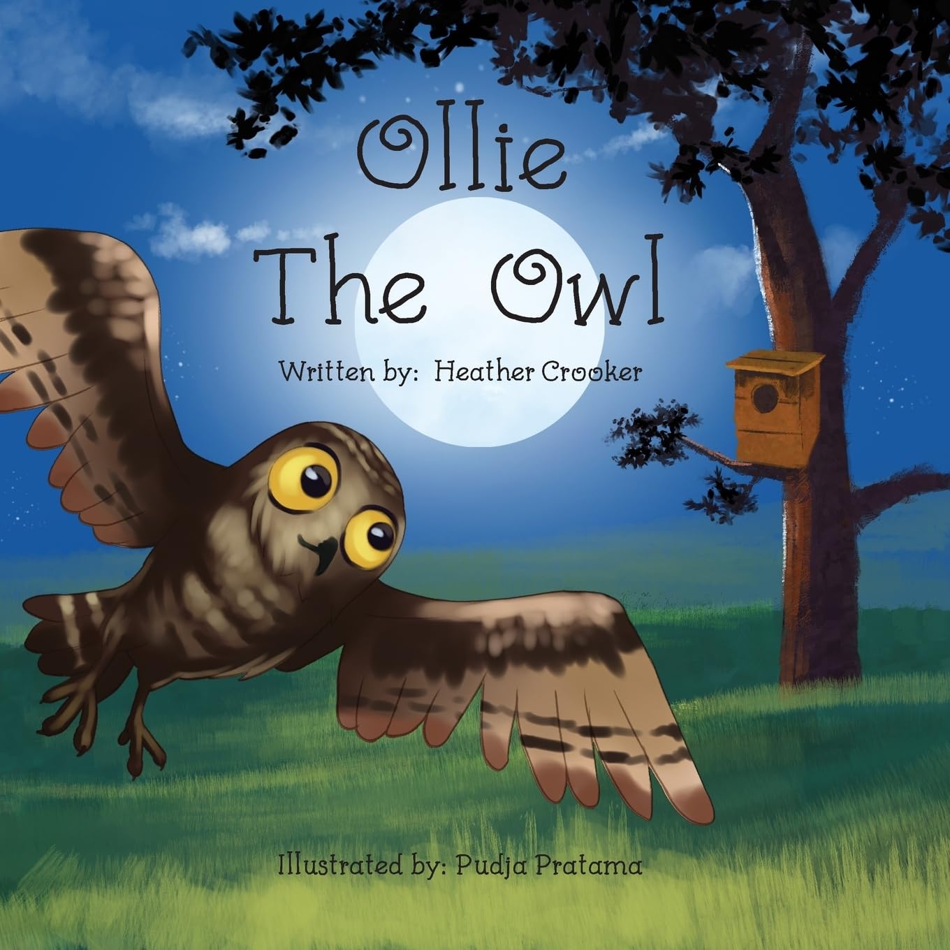 Ollie the Owl: Crooker, Heather: 9781979776820: Amazon.com: Books