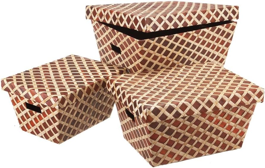 Amazon.com: Midwest CBK Nested Rectangular Boxes with Lids, Set of 3 ...