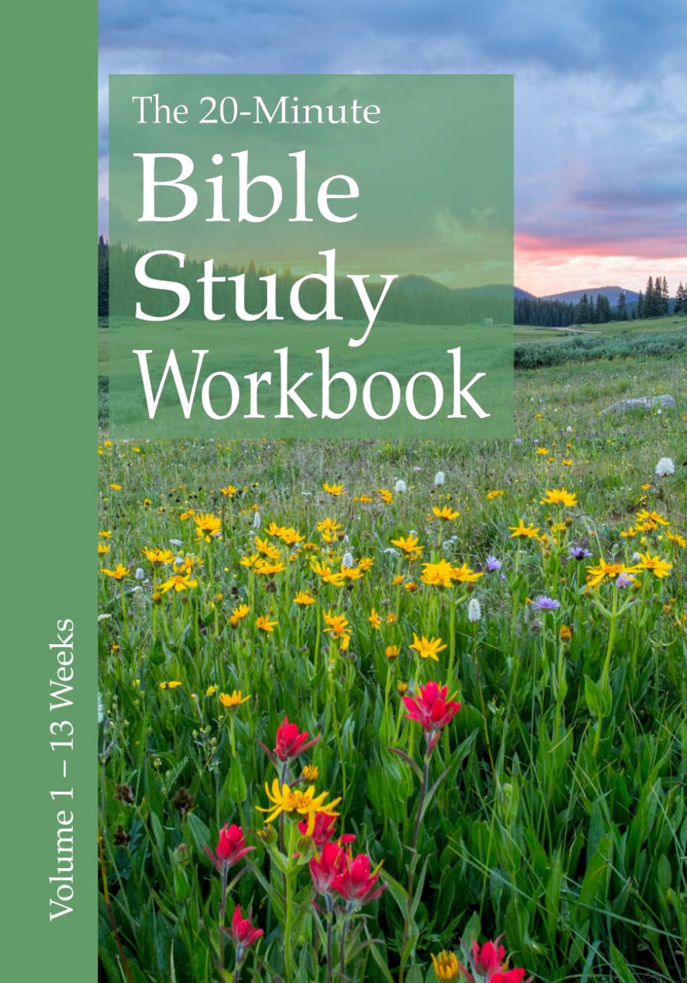 The 20 Minute Bible Study Workbook Volume 1 John Romans Ruth