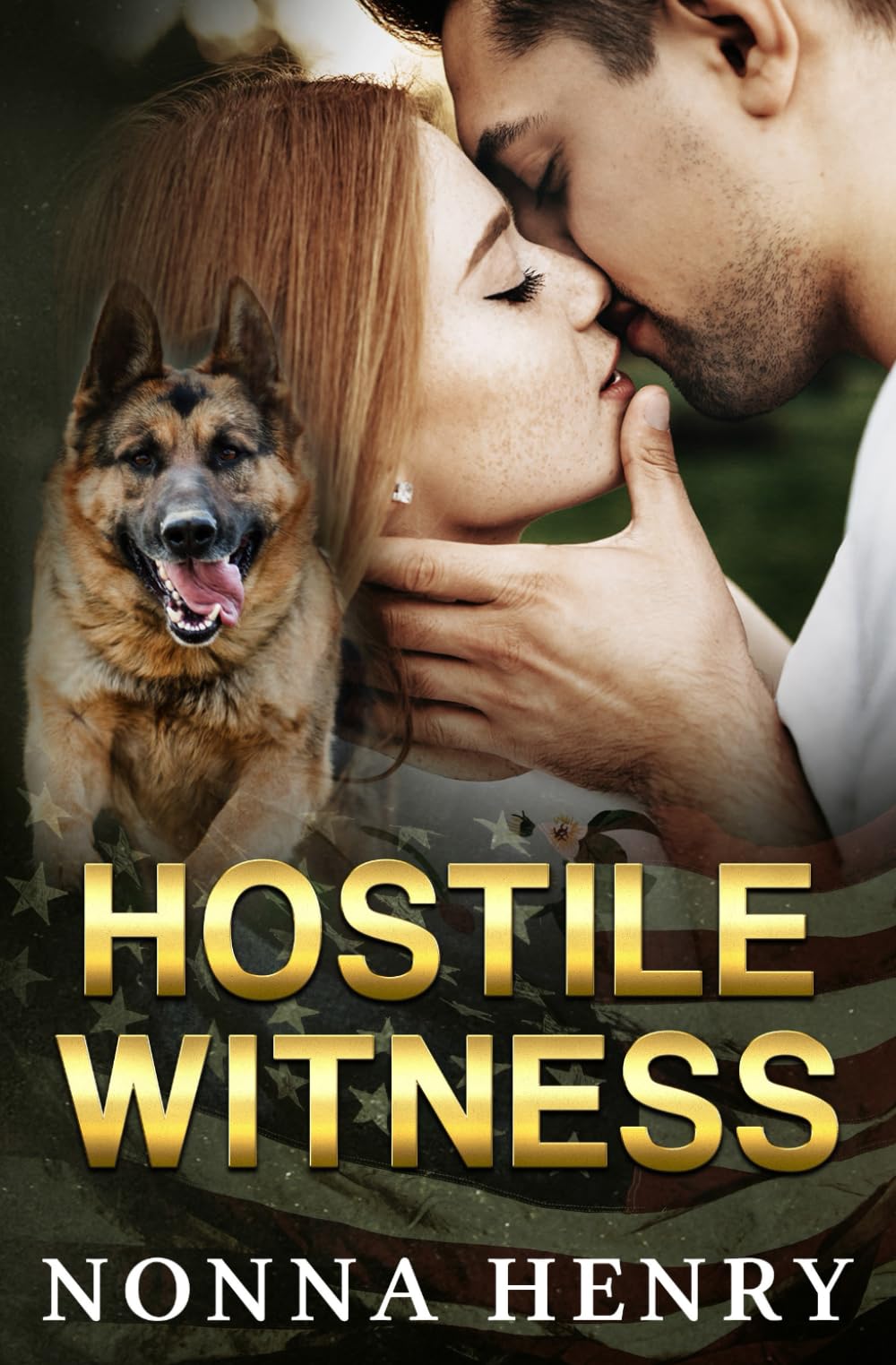 Amazon.com: Hostile Witness (Sanctuary, Inc.): 9781737034643: Henry ...