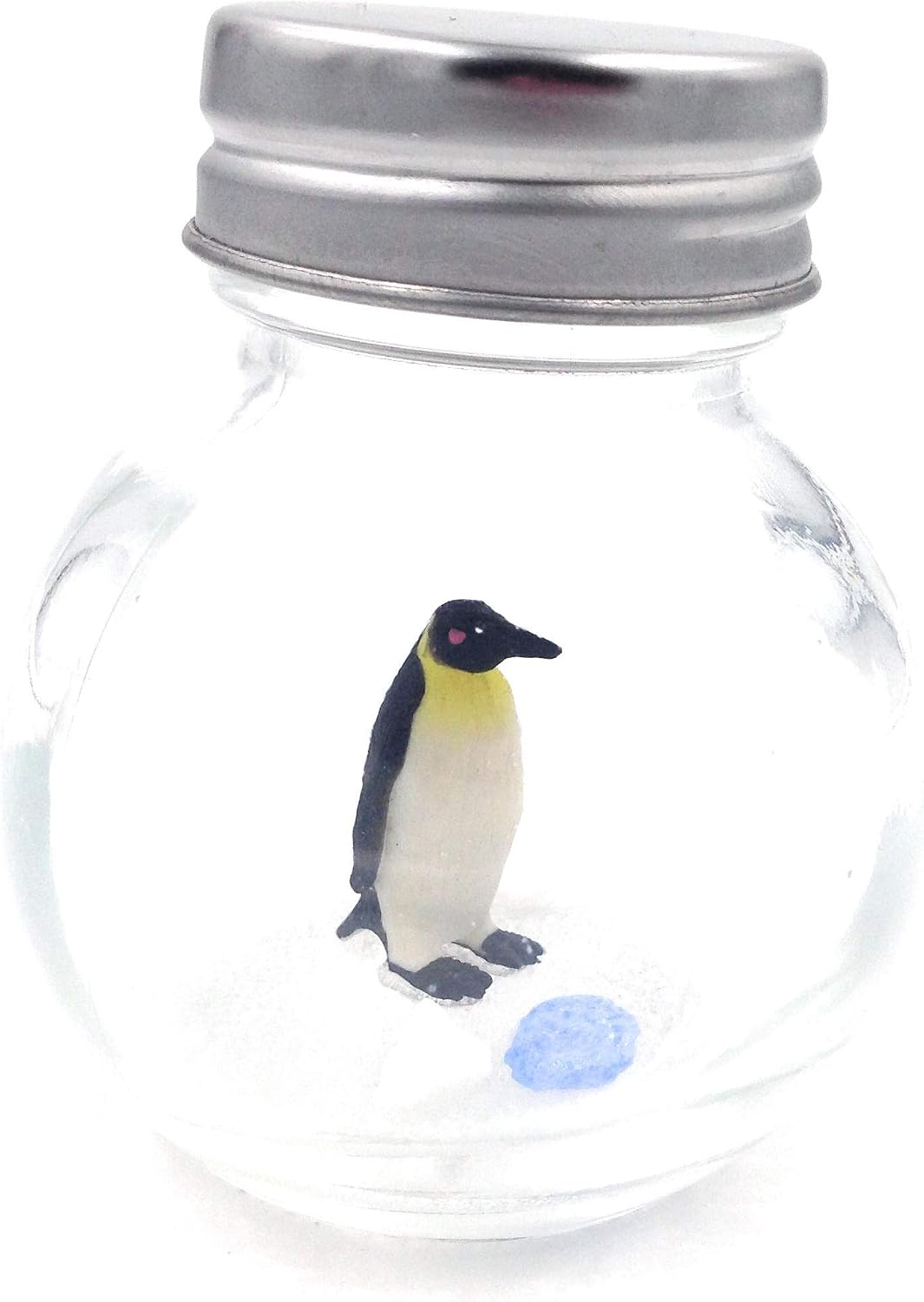 Amazon.com: World's Smallest Pet Penguin with Adoption Certificate ...