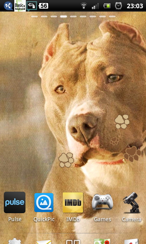 Pitbull dogs Live Wallpaper:Amazon.com:Appstore for Android