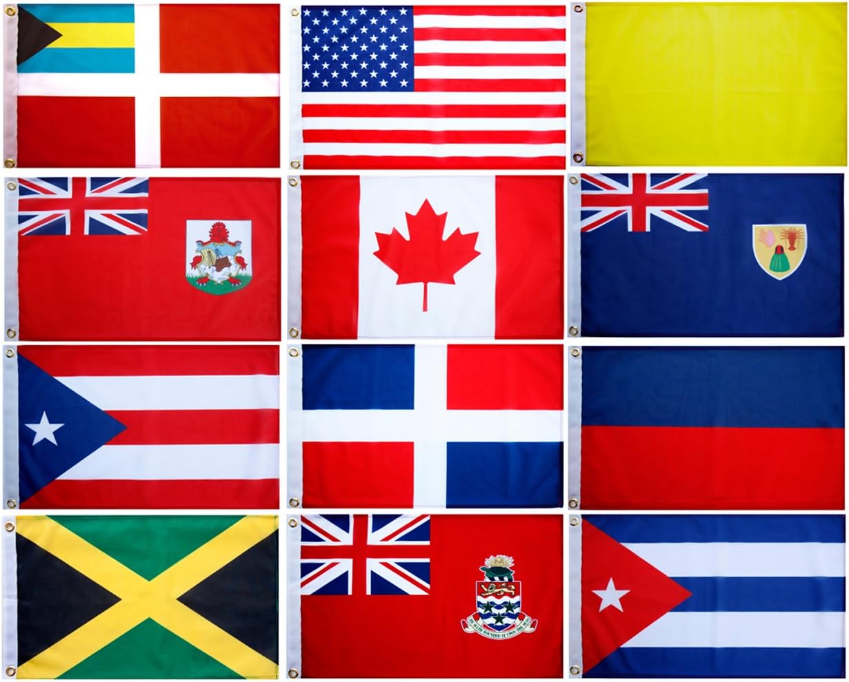Amazon.com : (12x18in) Set Of 20 Caribbean Stick Flags : Patio, Lawn ...