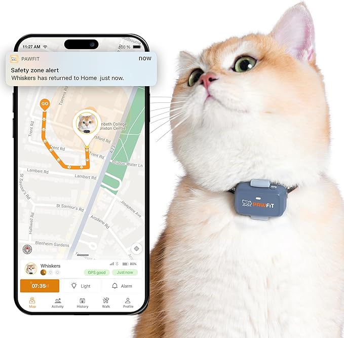 Amazon.com: Pawfit Lite for Cats 4g GPS Tracker | Ultra-Small