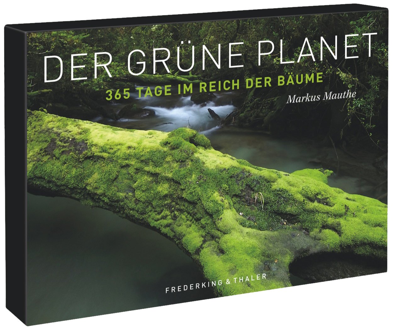 Tischaufsteller – Der grüne Planet: 365 Tage im Reich der Bäume ...