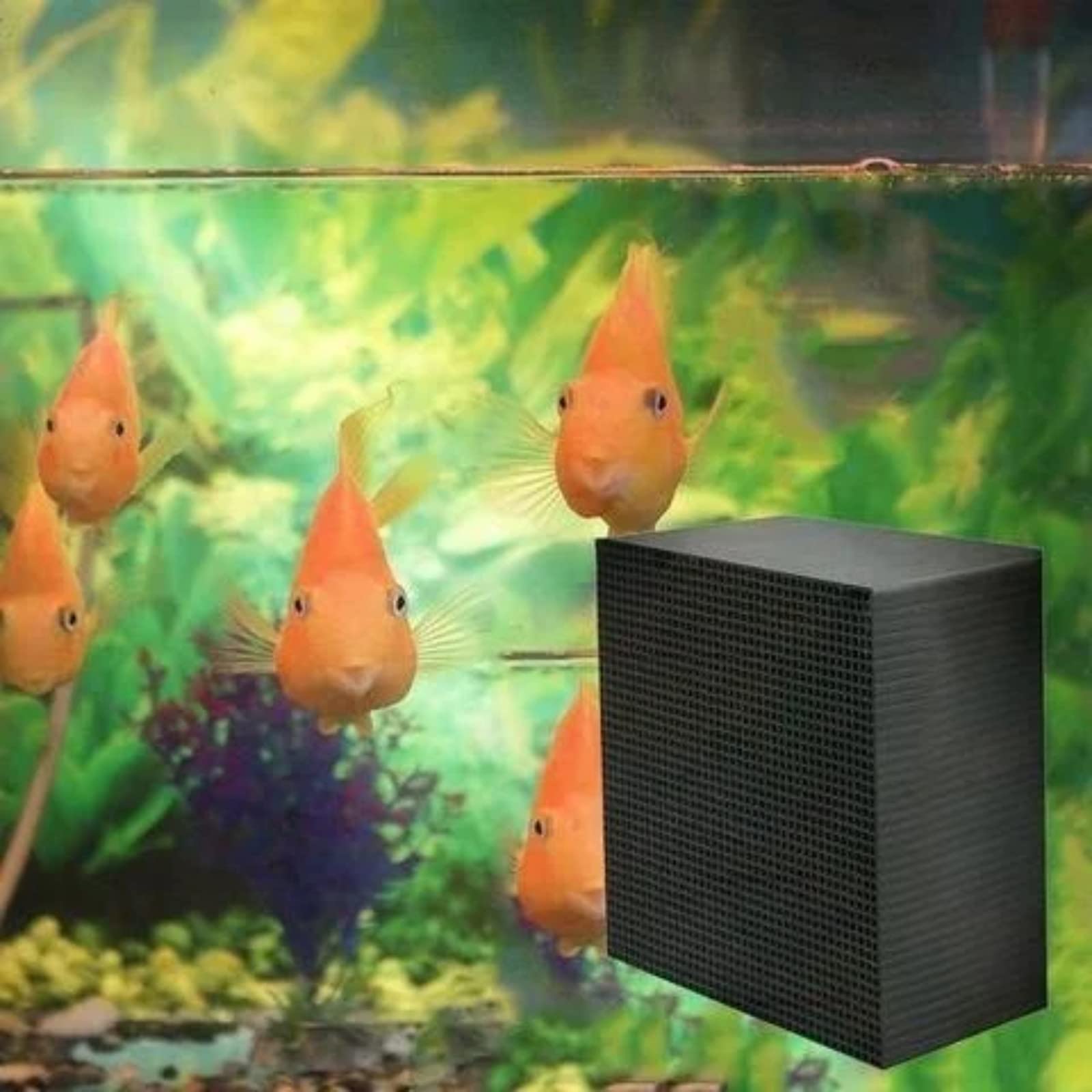 Livestock Water Purifier Pure Cube - Eco Aquarium Purifier For Fish ...