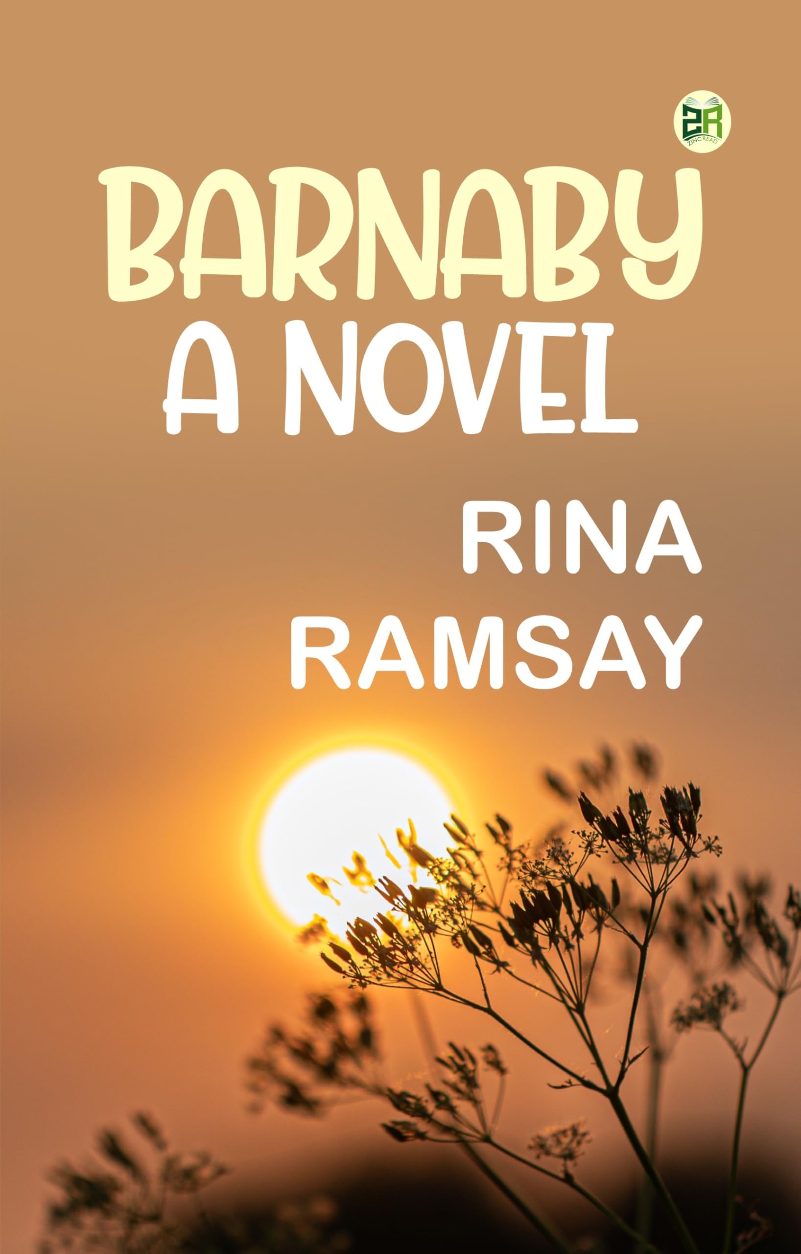 Buy Barnaby: A Novel Book Online at Low Prices in India | Barnaby: A ...
