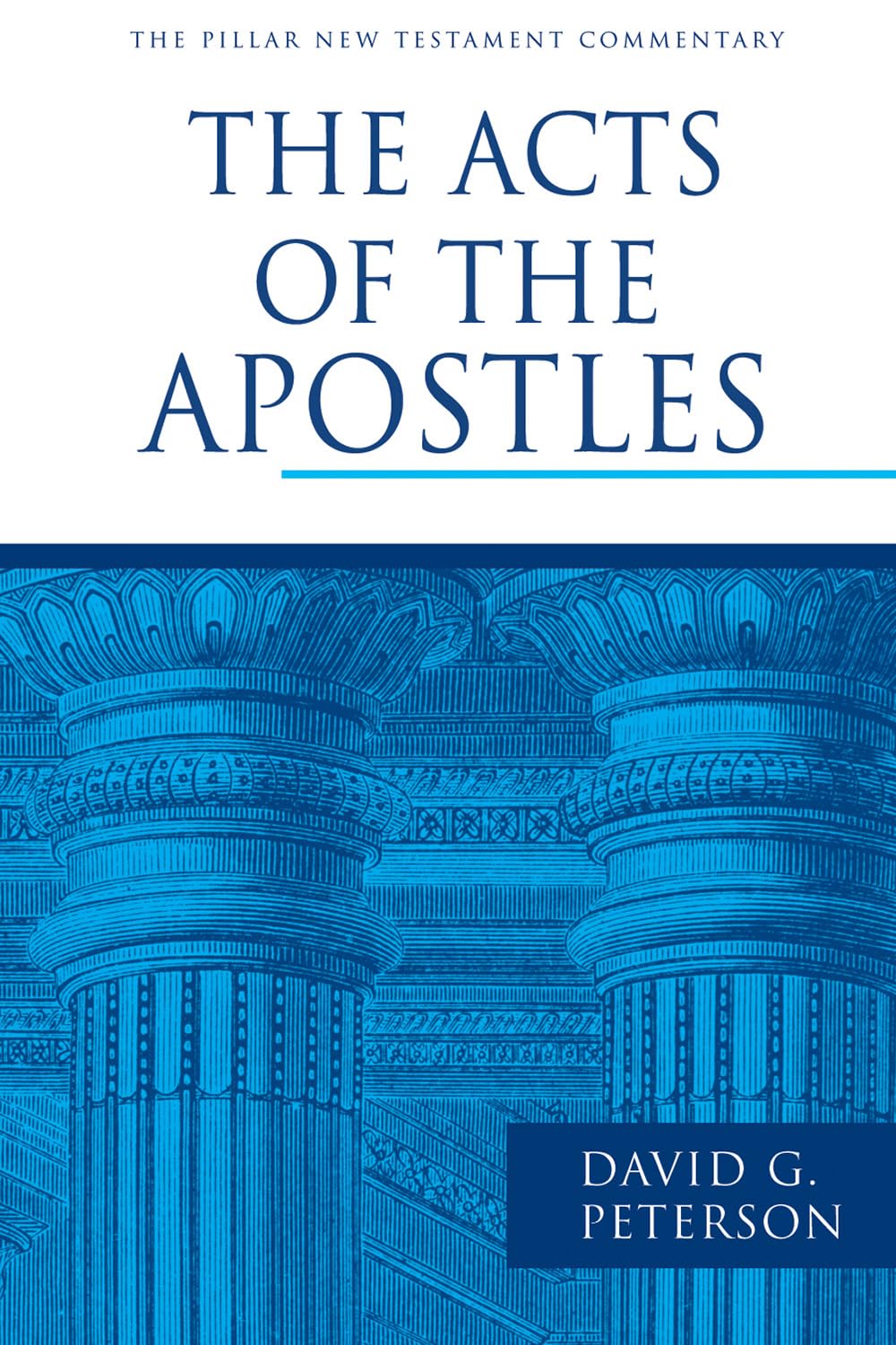 The Acts of the Apostles (The Pillar New Testament Commentary (PNTC ...