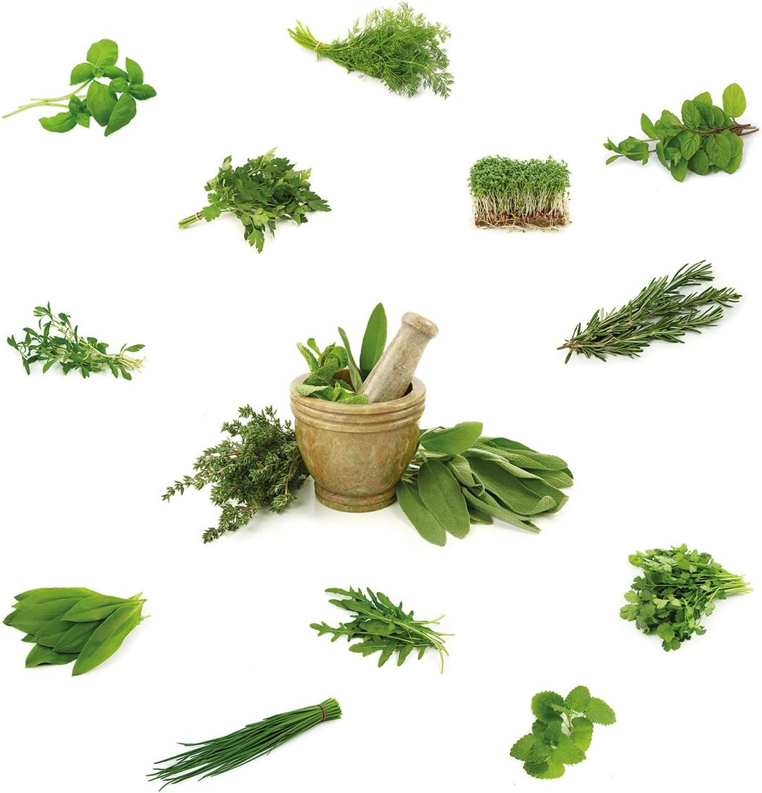 Eurographics 25x70 Windowsticker, Sticker, WS-DT30053 Different Herbs ...