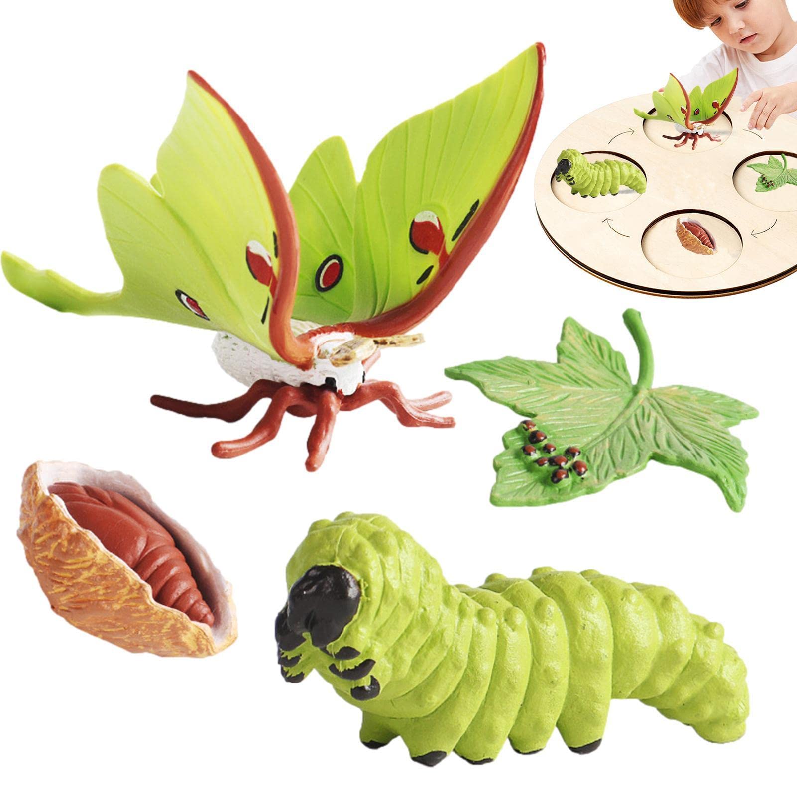 Buy Insect Life Cycle Figurines | Tasteless Life Cycle Figurines Set ...