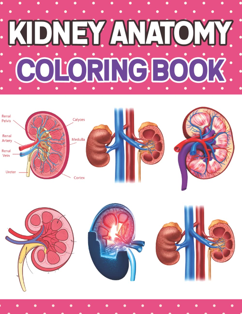 Buy Kidney Anatomy Coloring Book: Incredibly Detailed Self-Test Human ...