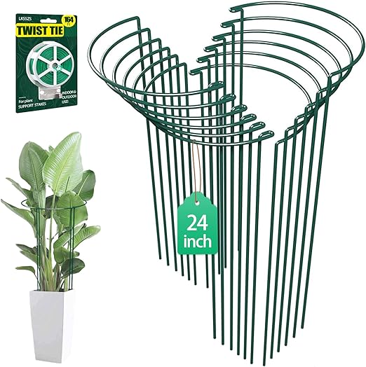 Amazon.com : LKSSZS 12 Pack 24 inch Plant Support Stakes, Half-Round ...