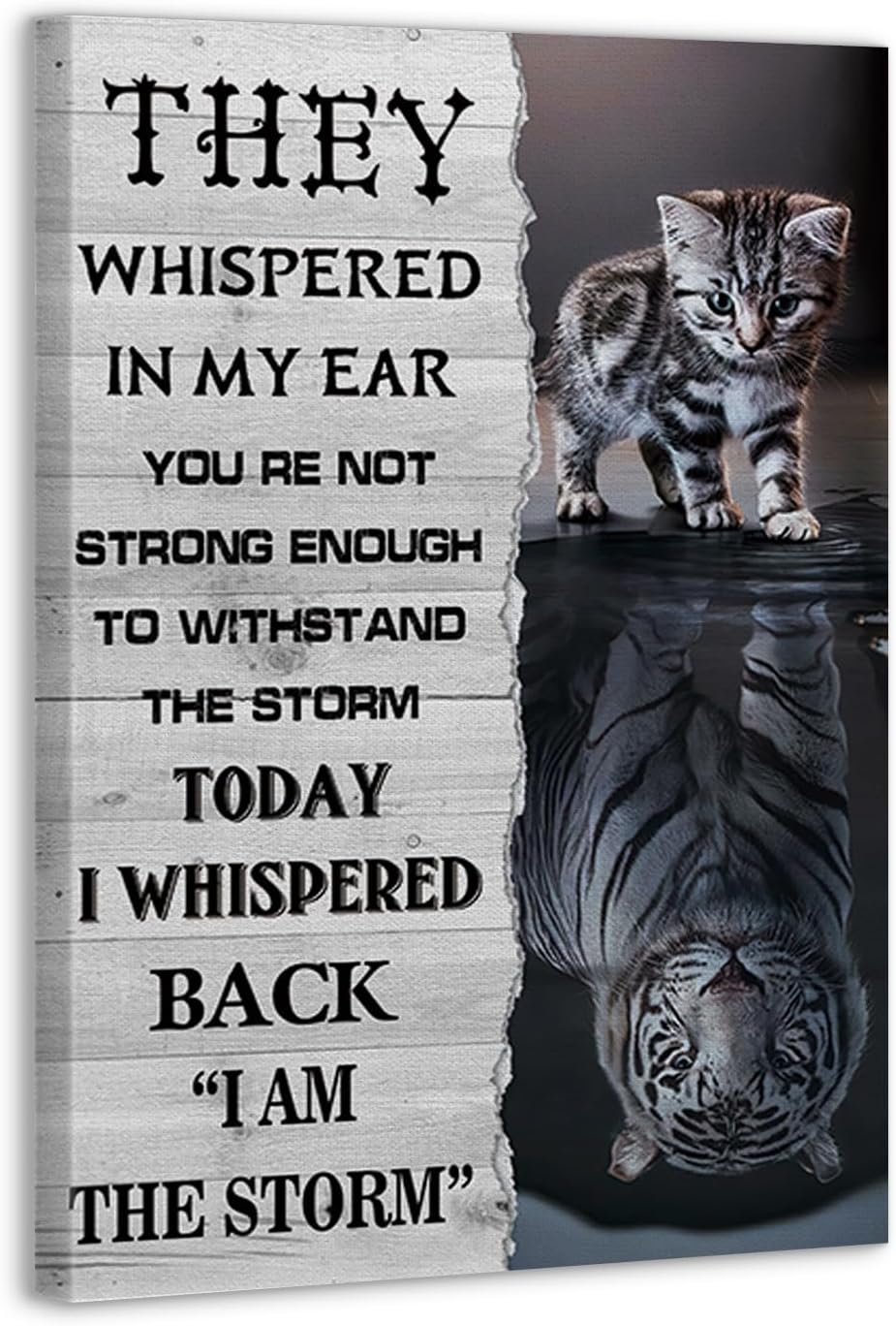 Amazon.com: Motivational Posters Canvas Wall Art Inspirational Success ...