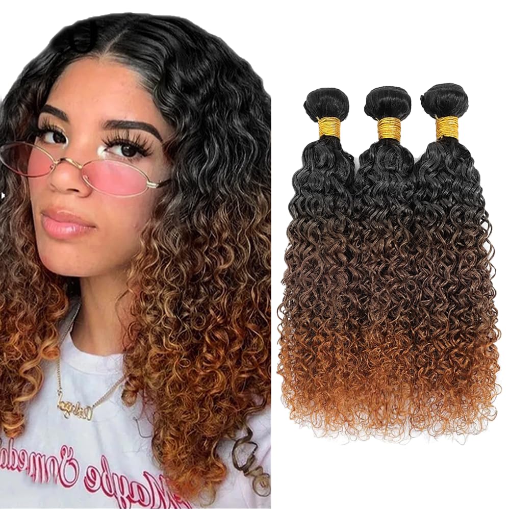 Amazon.com : 14 14 14 Inch T1B/4/30 Human Hair Bundles Ombre Curly ...