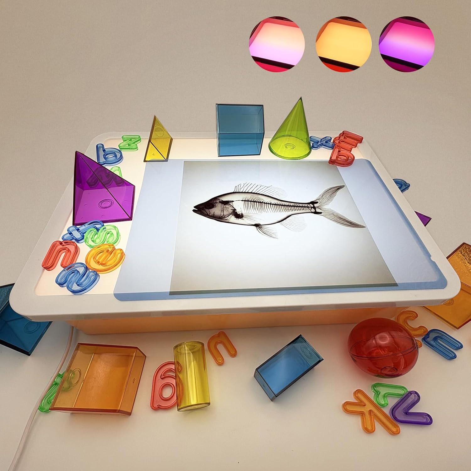 Amazon.com: Light Table for Kids | Kids Light Table | Light Up Sensory ...