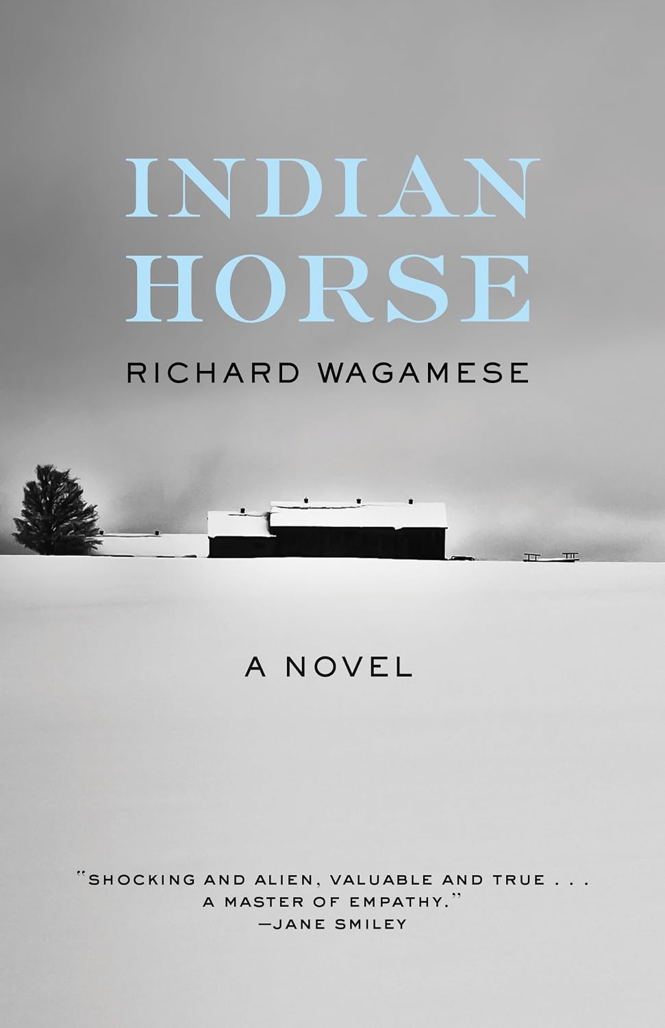 Indian Horse: A Novel: Wagamese, Richard: 9781571311306: Amazon.com: Books