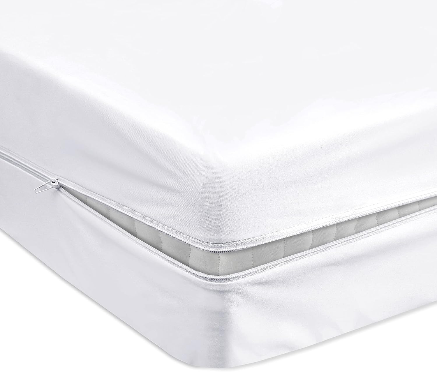 Amazon.com: Karin Maki Zippered Queen Mattress Encasement Water ...