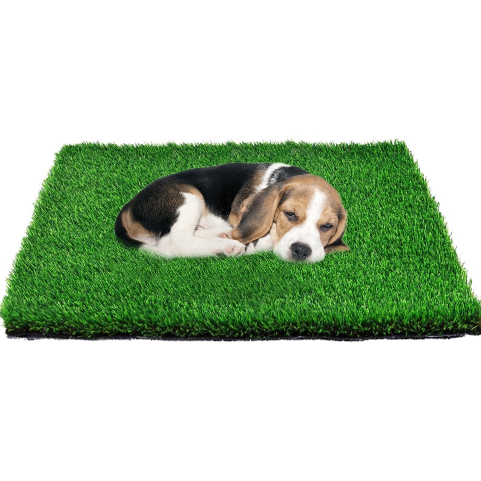 Amazon.com: kathson 36X36 Inches Dog Grass Pad, Artificial Grass Pee ...