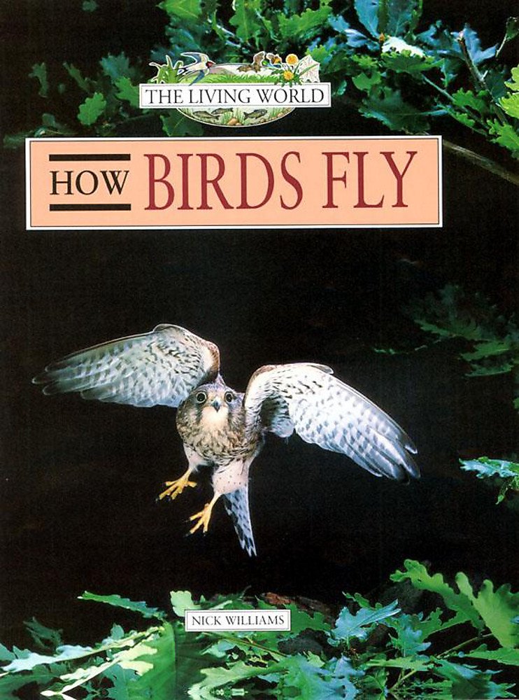 Amazon | How Birds Fly (Living World) | Williams, N | Ecology