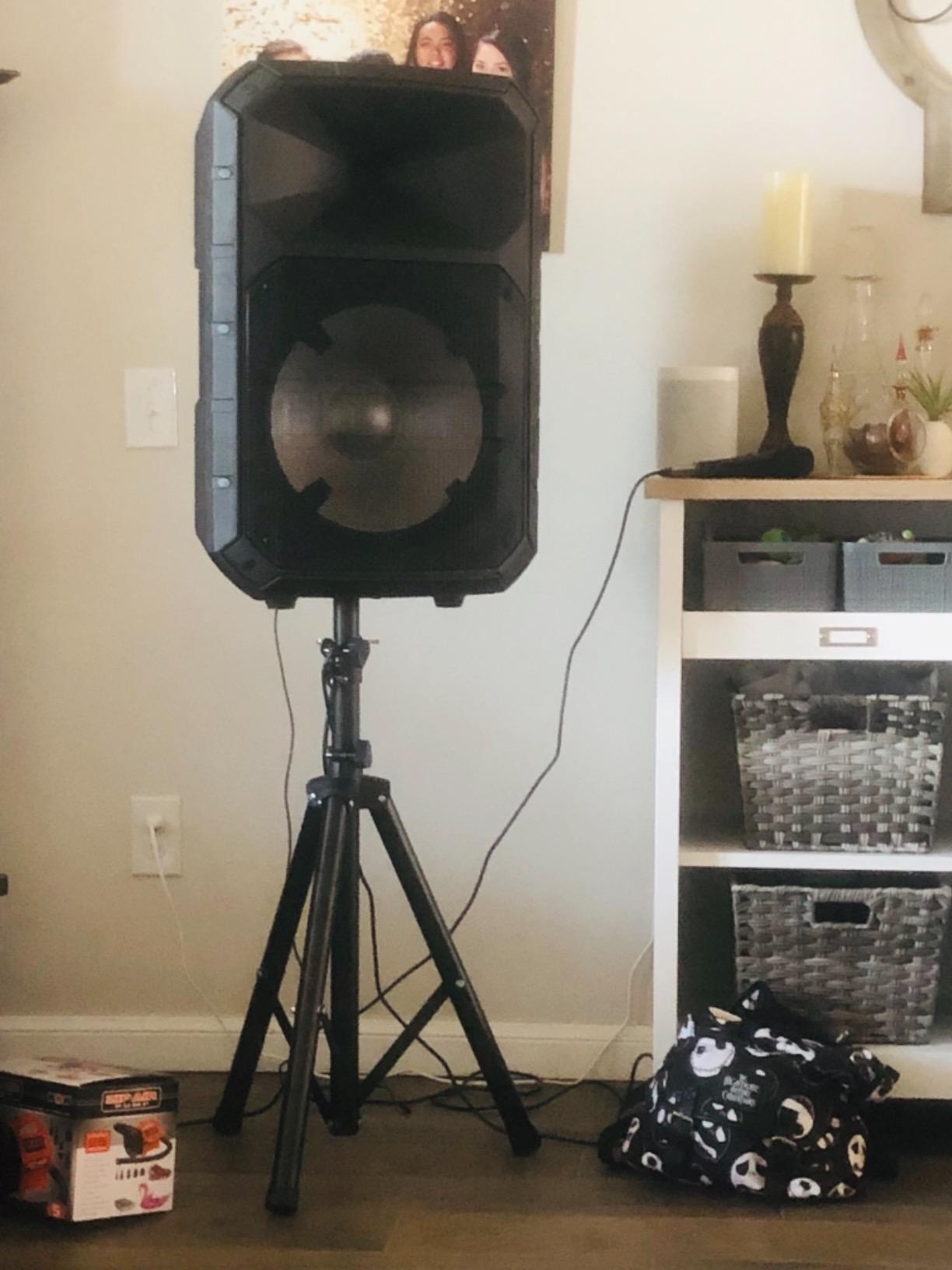 Amazon.com: Ion Audio Total PA Max Speaker : Musical Instruments