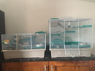 Rosewood PICO Hamster Home, Extra Large, Translucent Teal : Amazon.co ...