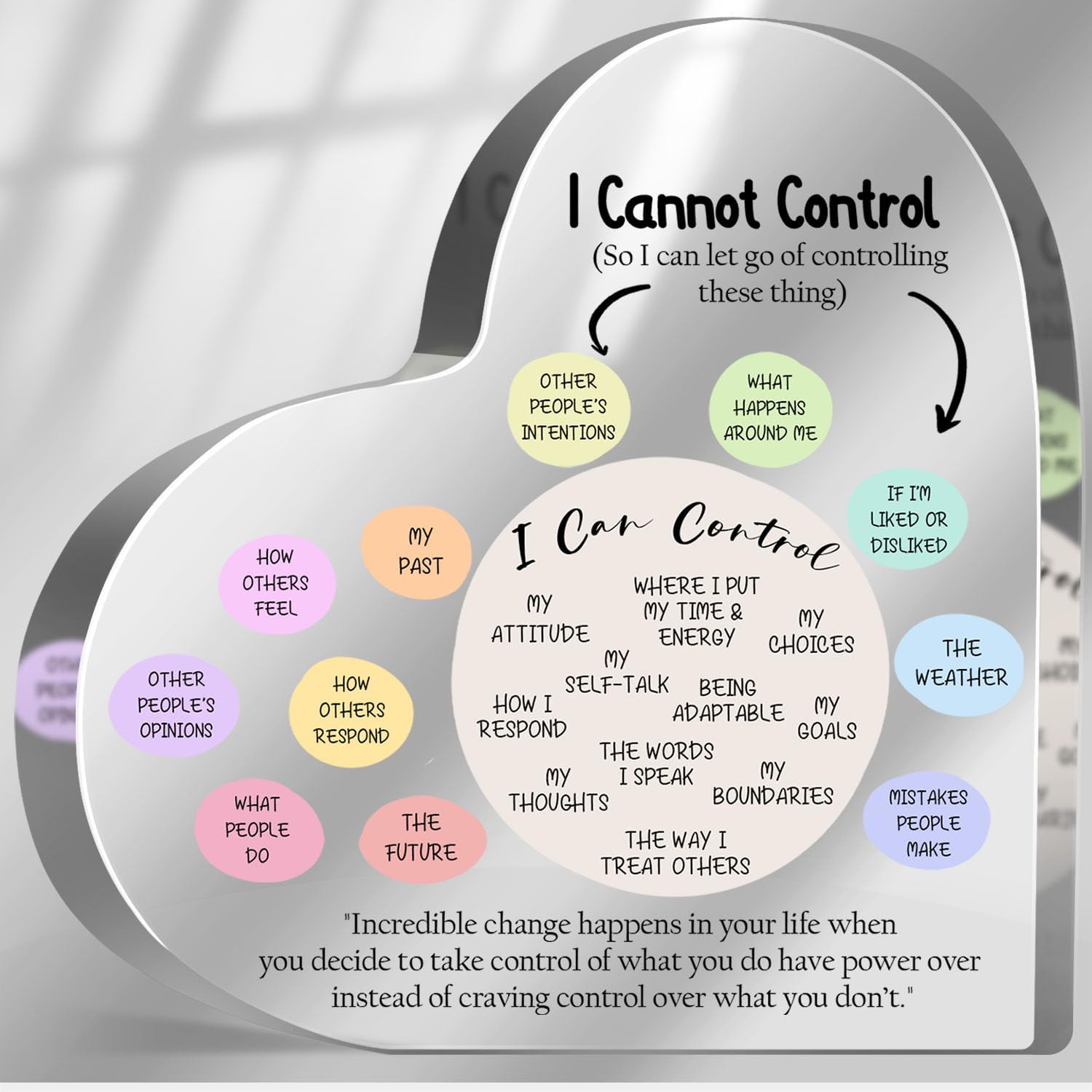 Amazon.com: Mental Health Decor, Things I Can Control Acrylic Sign ...