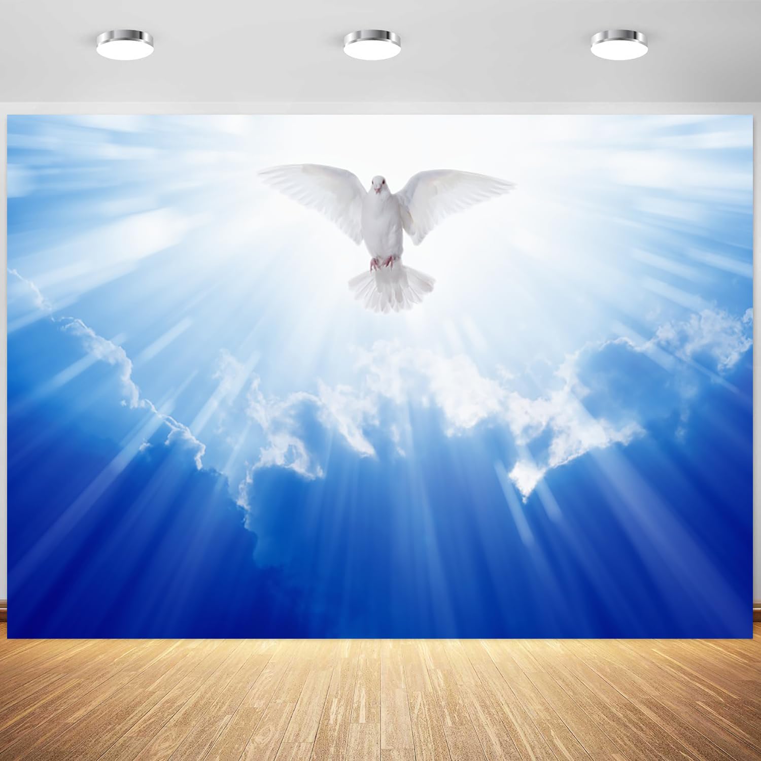 Amazon.com : 8x6ft Peace Dove Backdrop Holy Spirit Bird Jesus Christ ...