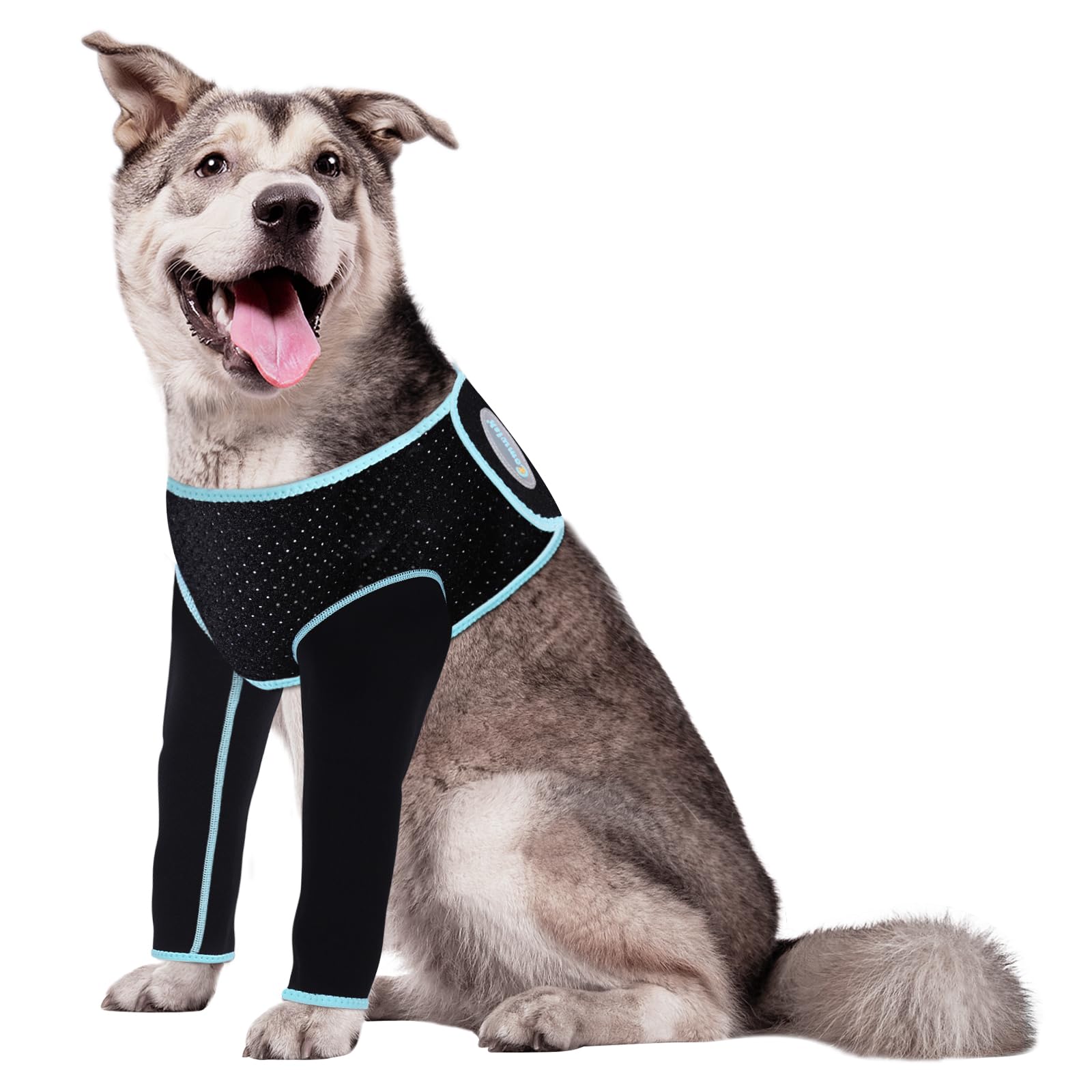Amazon.com: Comwish Recovery Sleeve for Dogs, Both Front Legs ...
