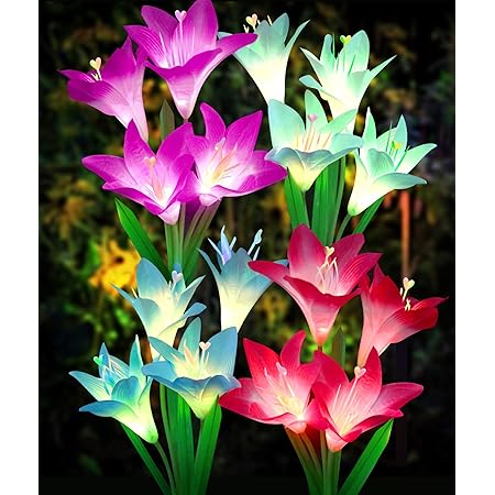 Outdoor Solar Lights, KOOPER 4 Pack Solar Garden Lights with Bigger ...