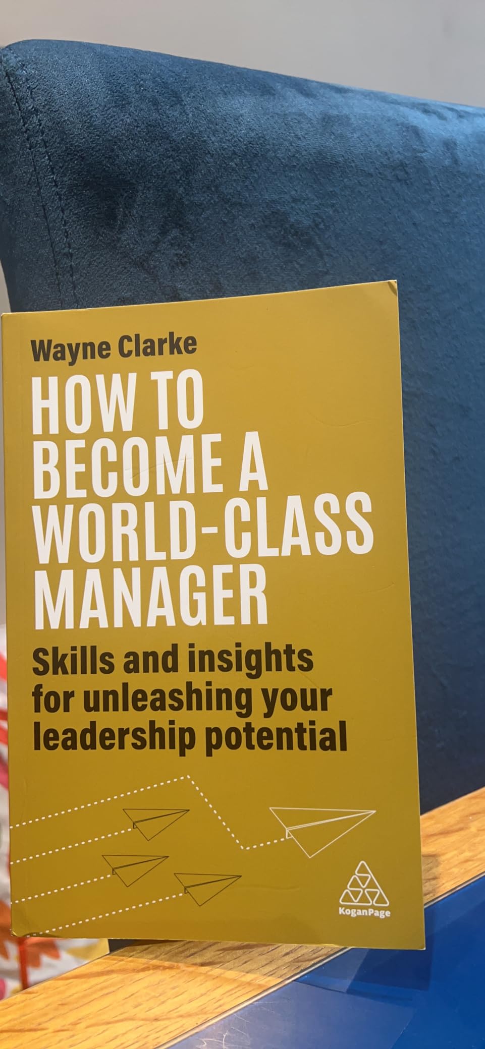 How to Become a World-Class Manager: Skills and Insights for Unleashing ...