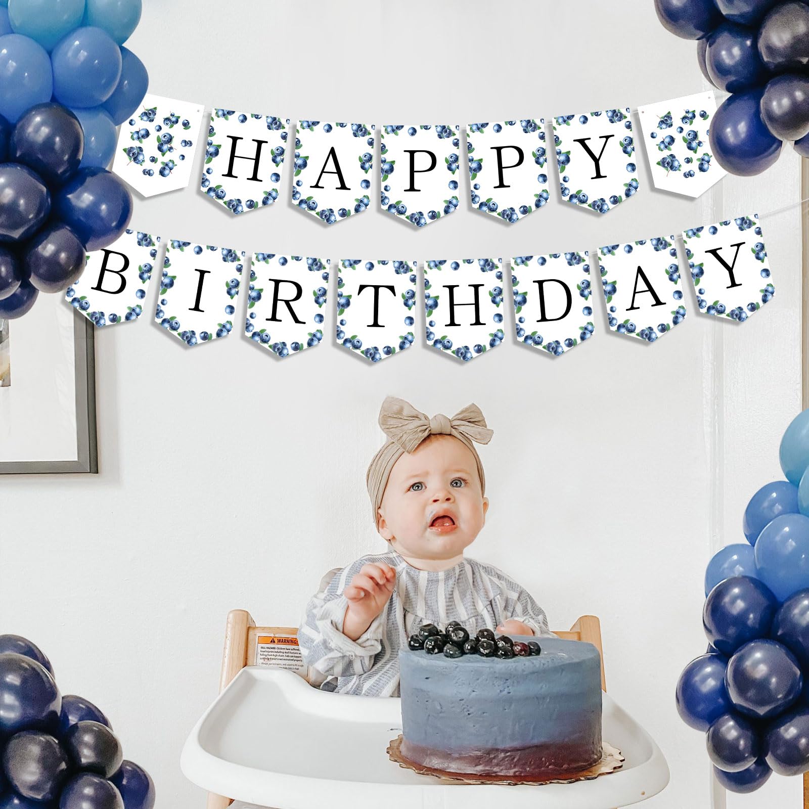 Blueberry Decor Blueberry Birthday Decorations Blueberry Party Supplies ...