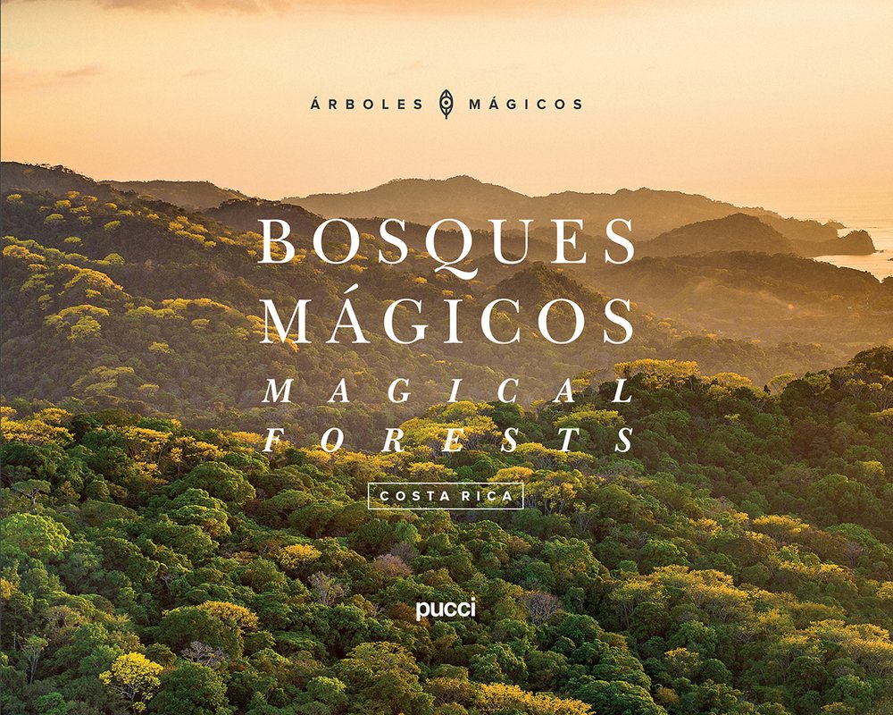 Amazon.com: Costa Rica - Magical Forests (Bosques Magicos / Magical ...