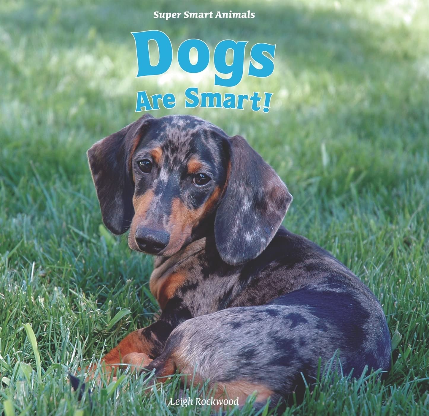 Dogs Are Smart! (Super Smart Animals): Rockwood, Leigh: 9781435893740 ...