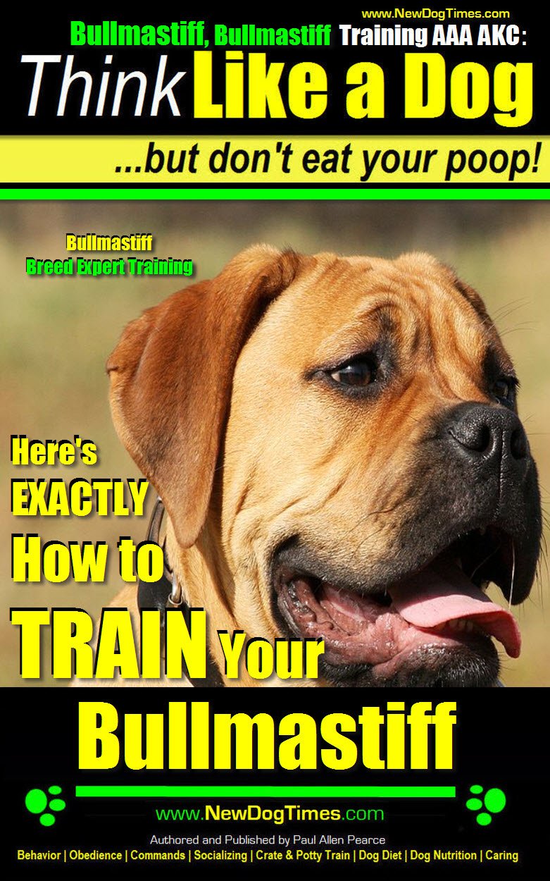 Bullmastiff, Bullmastiff Training AAA AKC: | Think Like a Dog, but Don ...