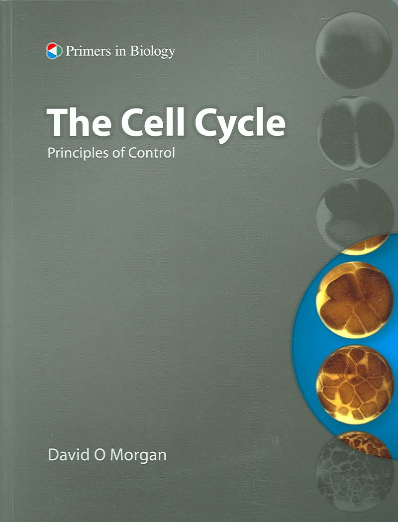 The Cell Cycle: Principles of Control: Morgan, David O.: 9780878935086 ...