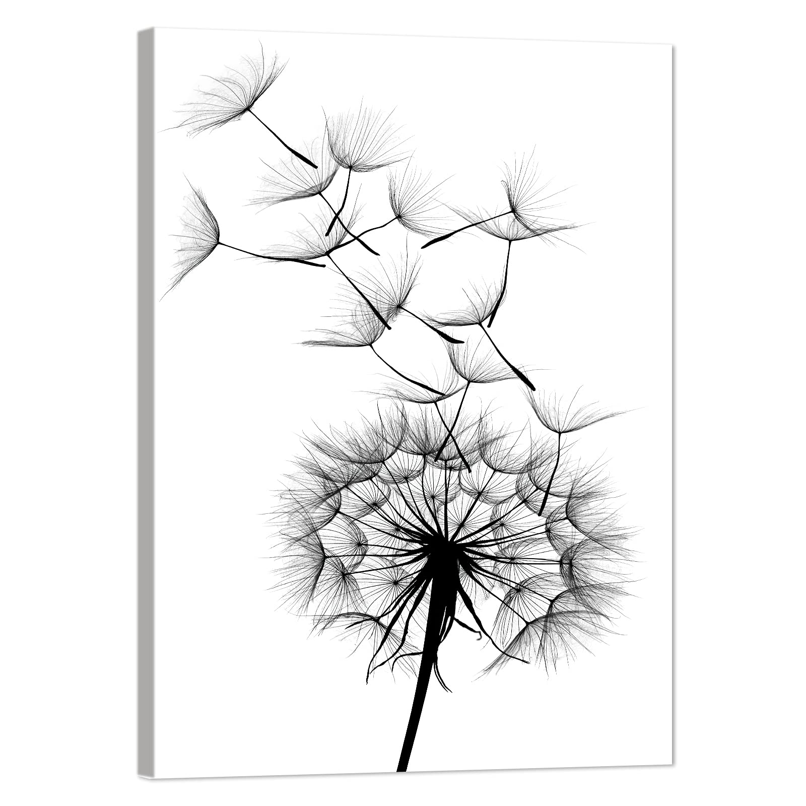 Simple Dandelion Drawing